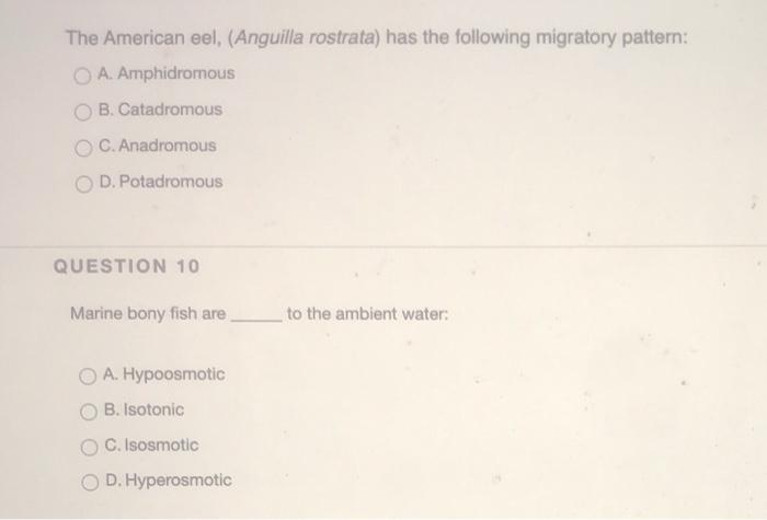 Solved The American eel, (Anguilla rostrata) has the | Chegg.com