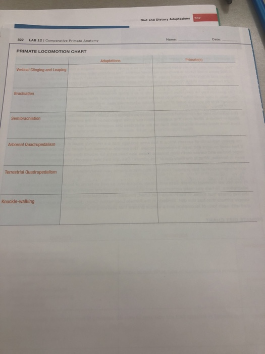 Solved Diet and Dietary Adaptations 322 LAB 12 Comparative | Chegg.com