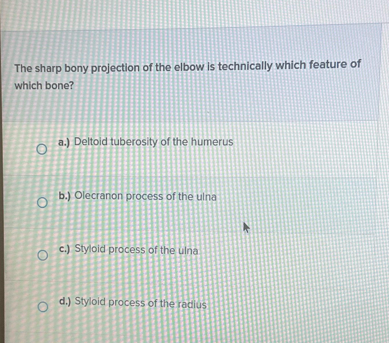 Solved The sharp bony projection of the elbow is technically | Chegg.com