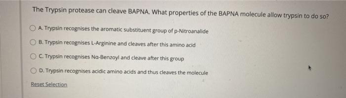 Solved The Trypsin protease can cleave BAPNA. What | Chegg.com