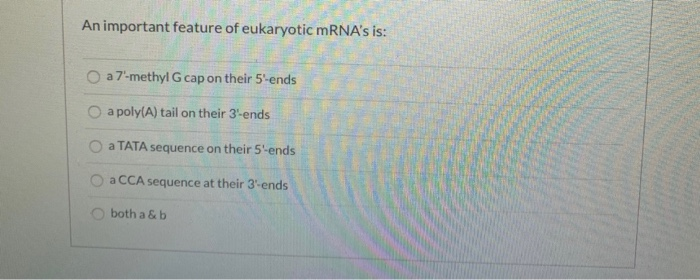 Solved An important feature of eukaryotic mRNA's is: a | Chegg.com
