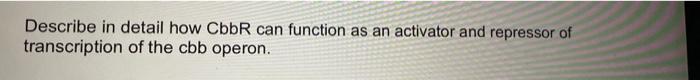 Solved Describe in detail how CbbR can function as an | Chegg.com