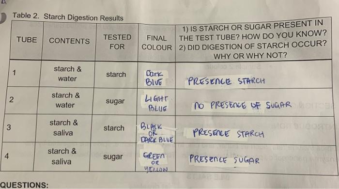 Solved Table 2. Starch Digestion Results How did the results | Chegg.com