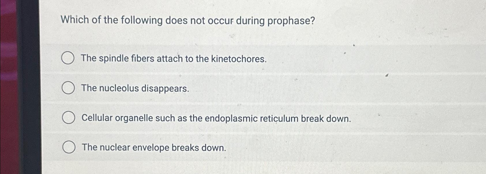Solved Which of the following does not occur during | Chegg.com