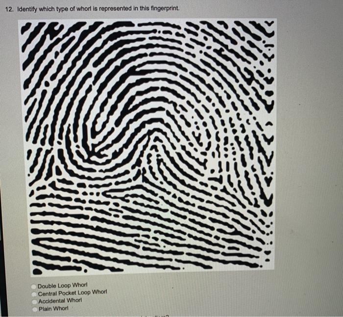 Solved 12. Identify which type of whorl is represented in | Chegg.com