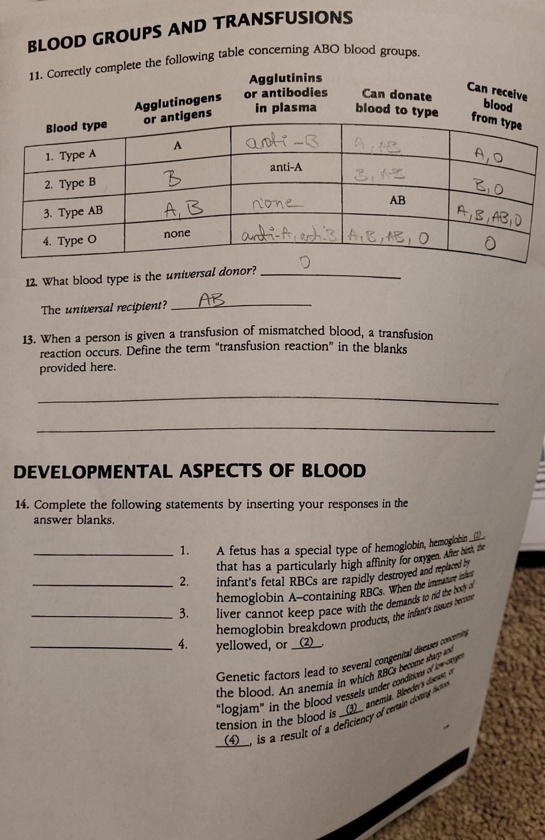 Solved BLOOD GROUPS AND TRANSFUSIONS groups. 11. Correctly | Chegg.com
