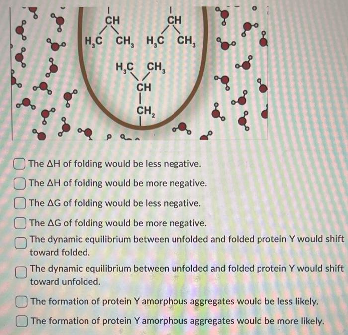 Solved Consider Protein Y shown in the figure. Imagine you | Chegg.com