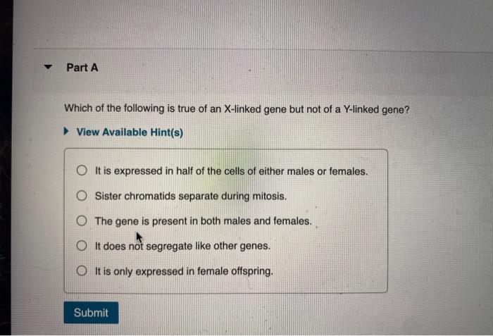 Solved Which of the following correctly matches a phase of | Chegg.com