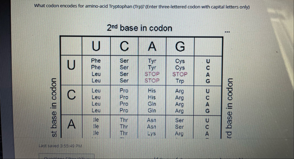 Solved What codon encodes for amino-acid Tryptophan | Chegg.com