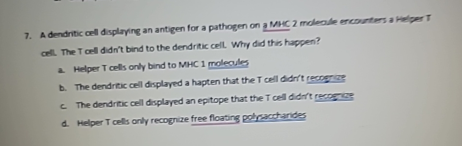 Solved A dendritic cell displaying an antigen for a pathogen | Chegg.com