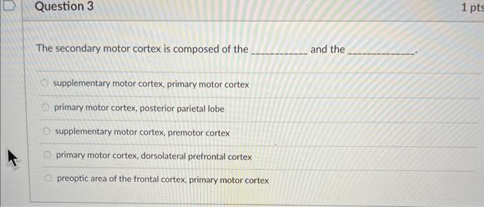Solved The secondary motor cortex is composed of the and the | Chegg.com