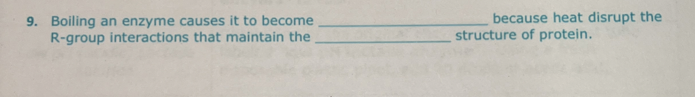 Solved Boiling an enzyme causes it to become ﻿because heat | Chegg.com
