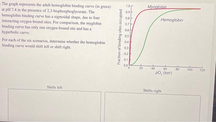 Solved The graph represents the adult hemoglobin binding | Chegg.com