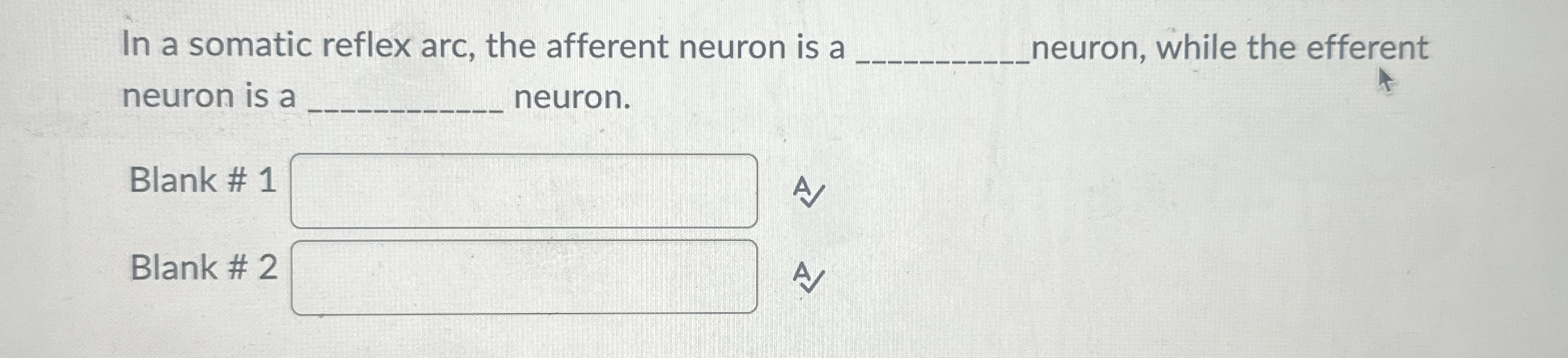 Solved In a somatic reflex arc, the afferent neuron is a | Chegg.com