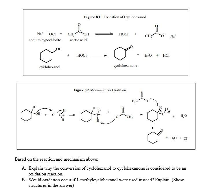 Solved Based on the reaction and mechanism above: A. Explain | Chegg.com