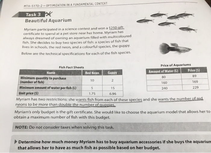 Solved MTH-5170-2-OPTIMIZATION IN A FUNDAMENTAL CONTEXT Task | Chegg.com