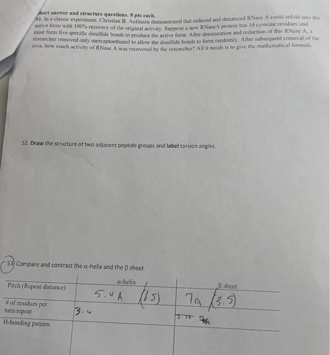 Solved S3. Compare and contrast the a-helix and the ß sheet. | Chegg.com