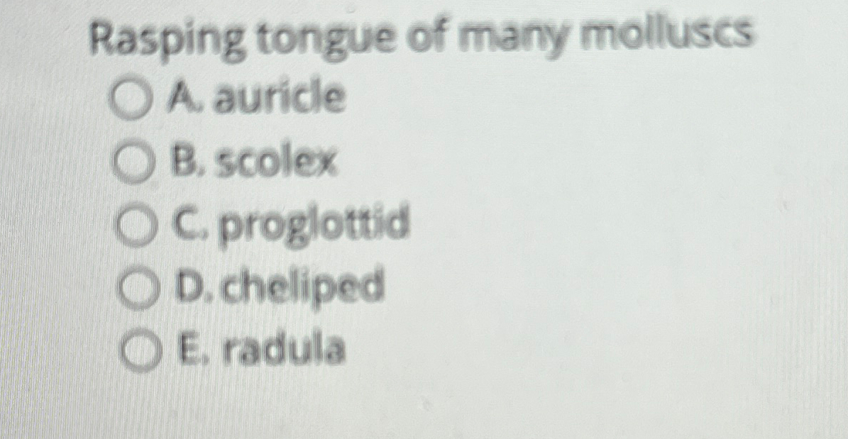 Solved Rasping tongue of many molluscsA. ﻿auricleB. | Chegg.com