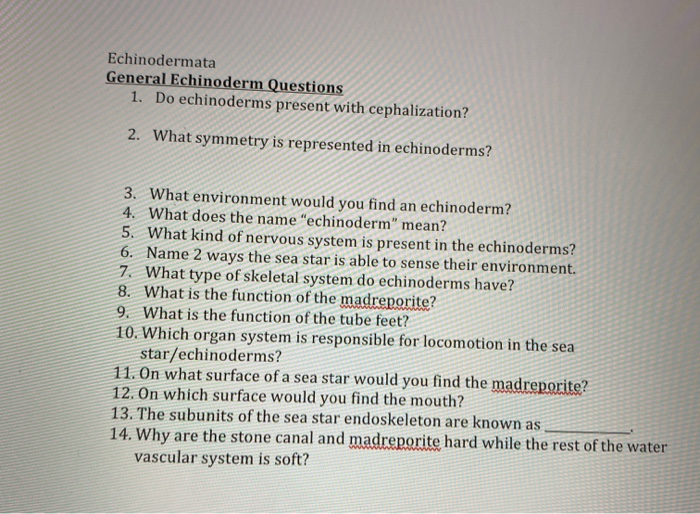 Solved Echinodermata General Echinoderm Questions 1. Do | Chegg.com