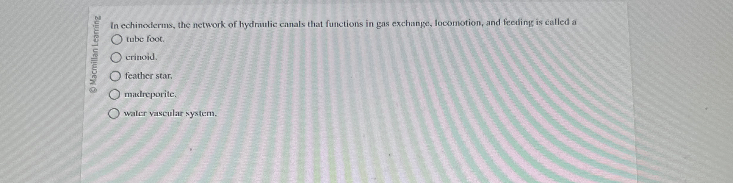 Solved In echinoderms, the network of hydraulic canals that | Chegg.com