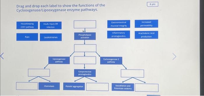 Solved Drag and drop each label to show the functions of the | Chegg.com