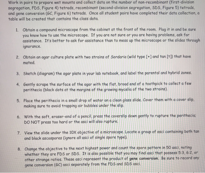 # First Division Segregation Asci TOTAL # FDS and SDS | Chegg.com