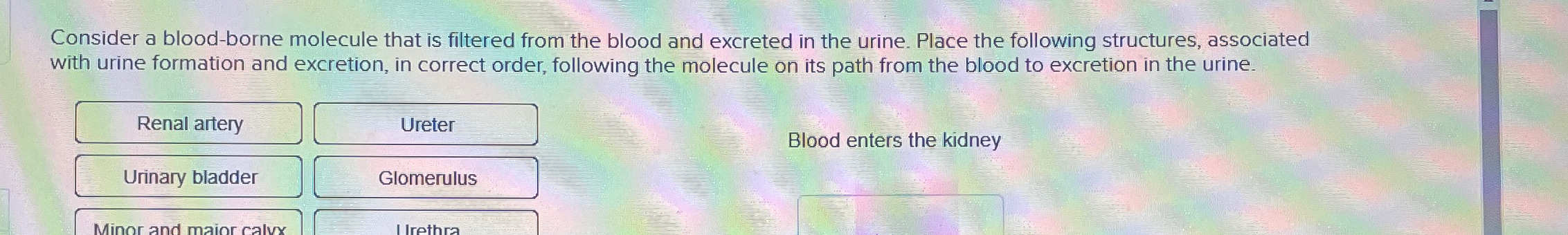 Solved Consider a blood-borne molecule that is filtered from | Chegg.com