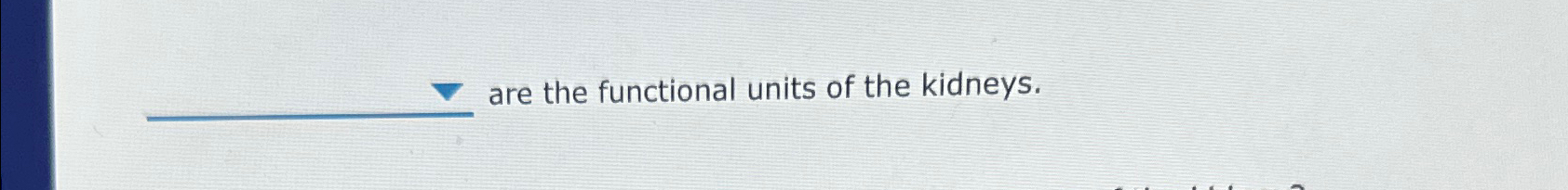 Solved are the functional units of the kidneys. | Chegg.com