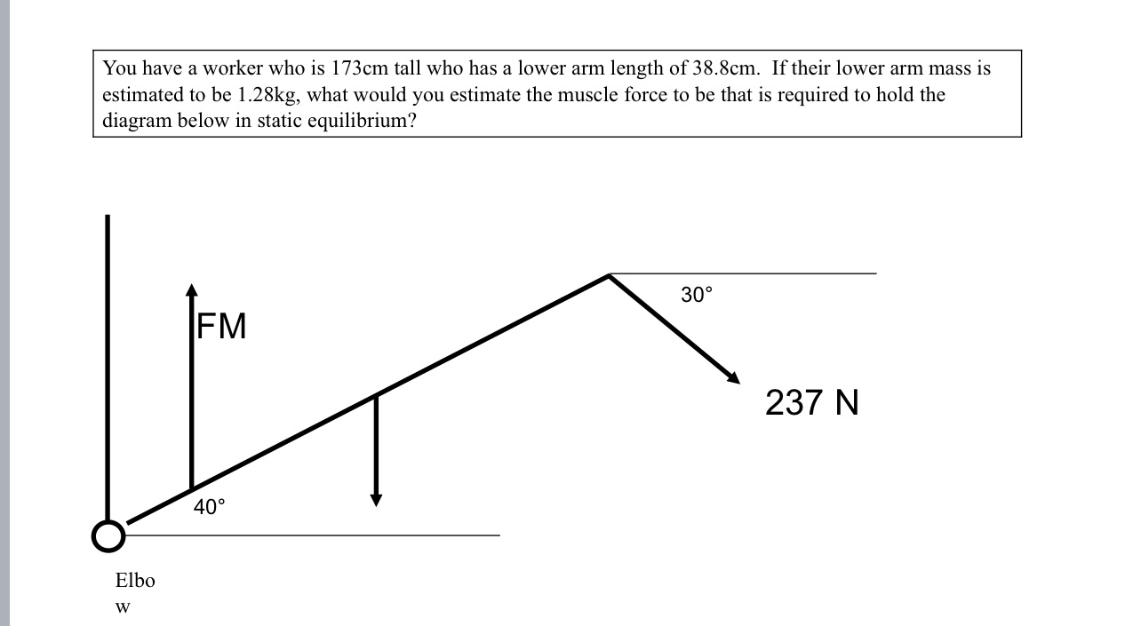 Solved You have a worker who is 173 ﻿cm tall who has a lower | Chegg.com