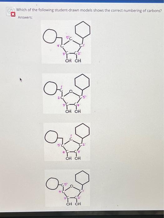 Solved Which of the following student-drawn models shows the | Chegg.com