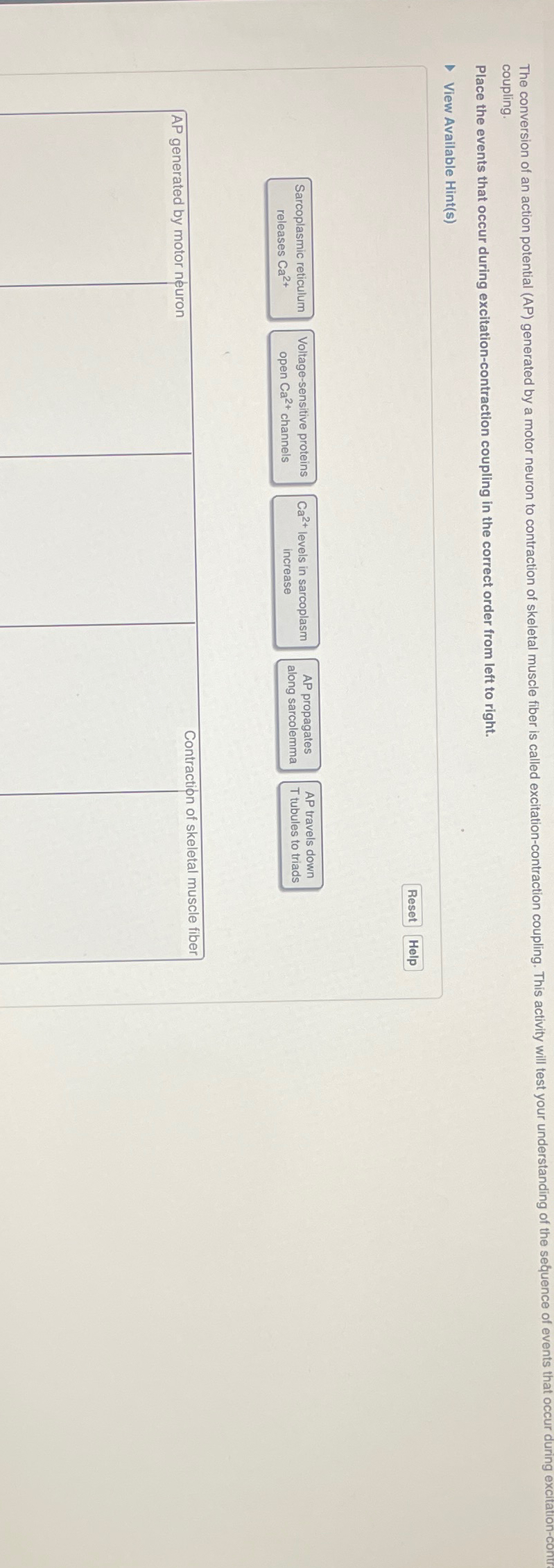 Solved coupling.Place the events that occur during | Chegg.com