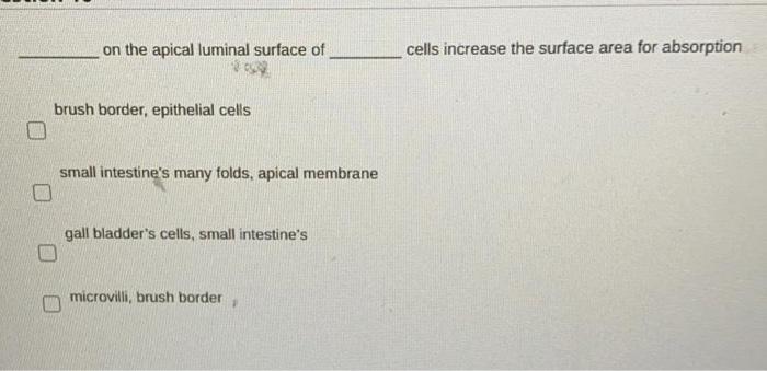Solved on the apical luminal surface of cells increase the | Chegg.com
