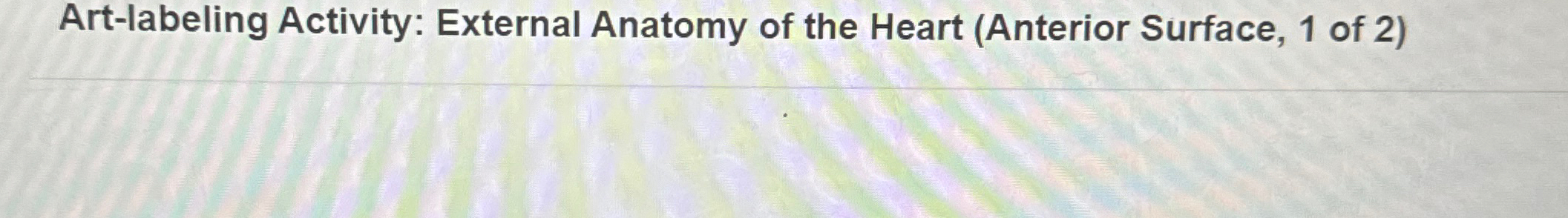 Solved Art-labeling Activity: External Anatomy of the Heart | Chegg.com