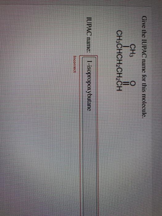 Solved Label the functional groups in the molecule. alkoxy | Chegg.com