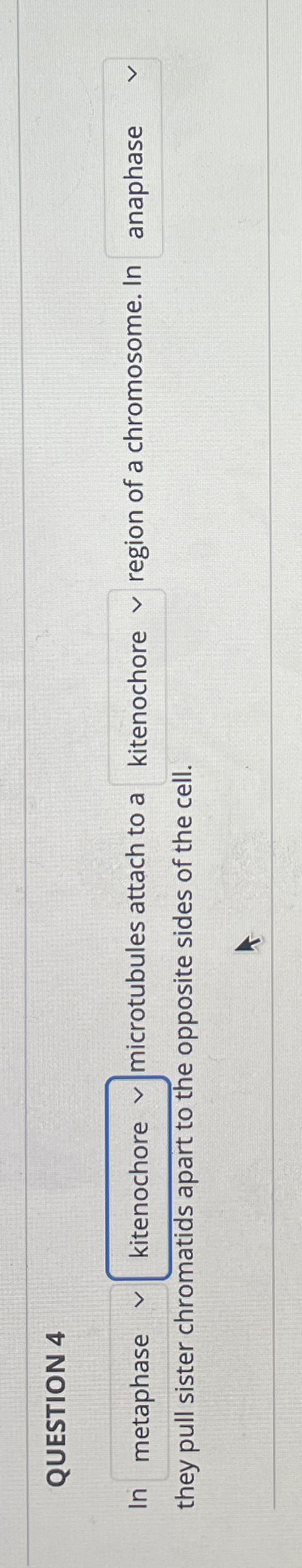 Solved QUESTION 4In ﻿microtubules attach to a ﻿region of | Chegg.com