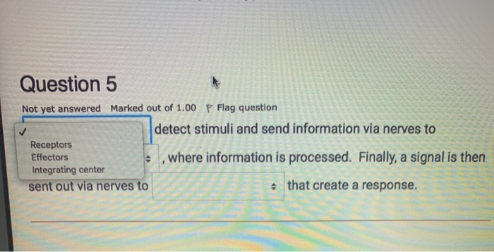 Solved Question 5 Not yet answered Marked out of 1.00 P Flag | Chegg.com