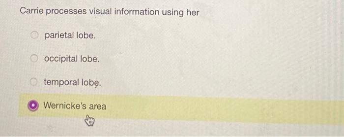 Solved Carrie processes visual information using her | Chegg.com
