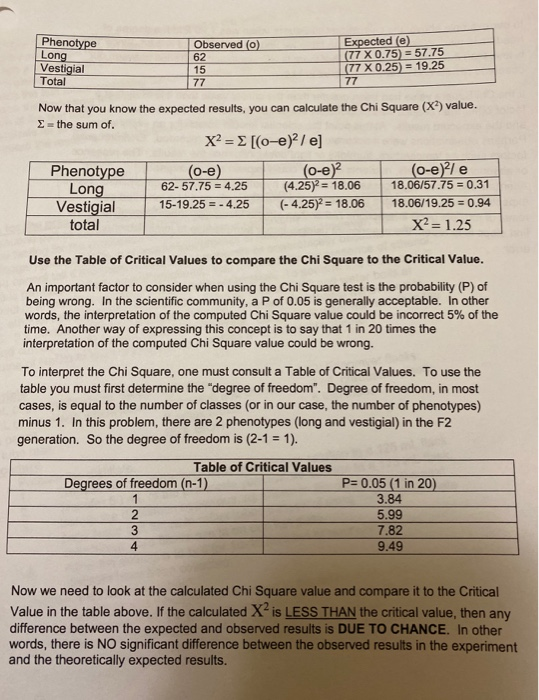 Corn Genetics Lab Report Questions (27 NAME Lab | Chegg.com Corn Genetics Lab Report Questions (27 NAME Lab | Chegg.com
