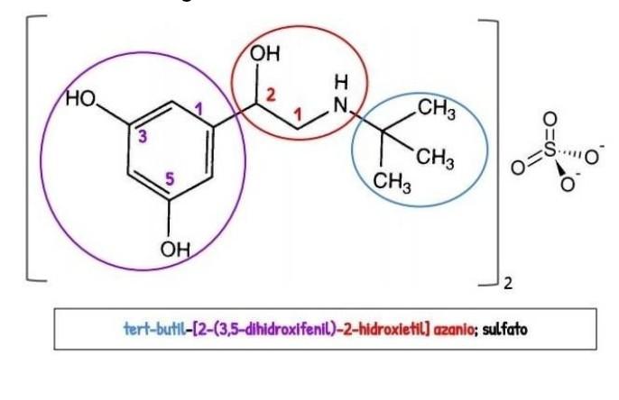 Solved Recognize and indicate in the figure the functional | Chegg.com