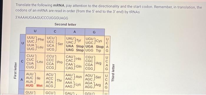 Solved Translate the following mRNA, pay attention to the | Chegg.com
