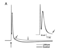 Solved Litihium is a popular treatment for bipolar disorder. | Chegg.com