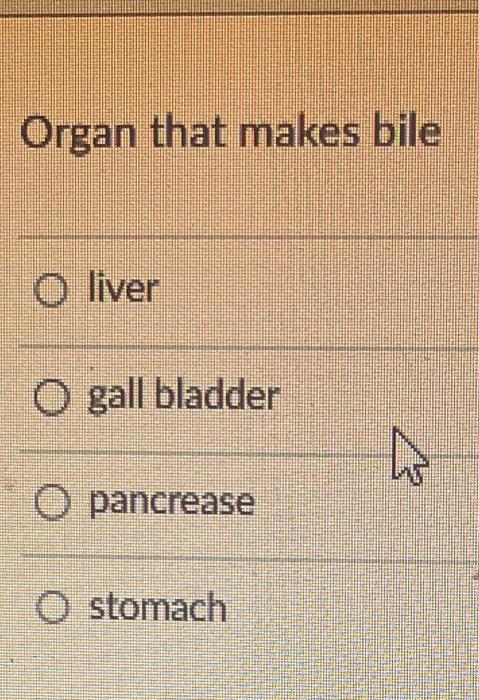 Organ That Makes Bile Liver Gall Bladder Pancrease 0290