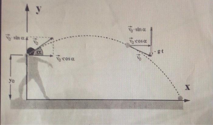 Solved Note: Acceleration due to gravity g=9.81 m/s2, yo= | Chegg.com