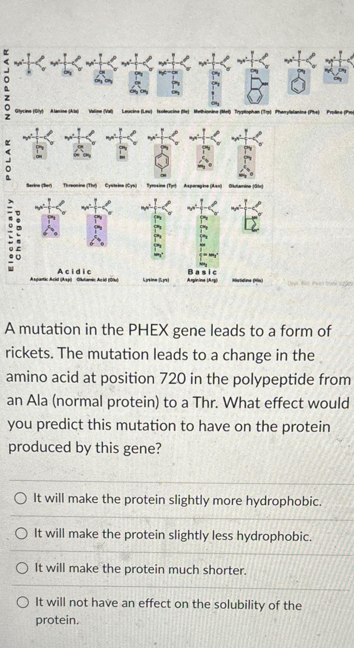 Solved A mutation in the PHEX gene leads to a form of | Chegg.com