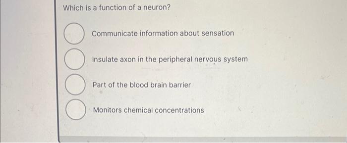 Solved Which is a function of a neuron? Communicate | Chegg.com