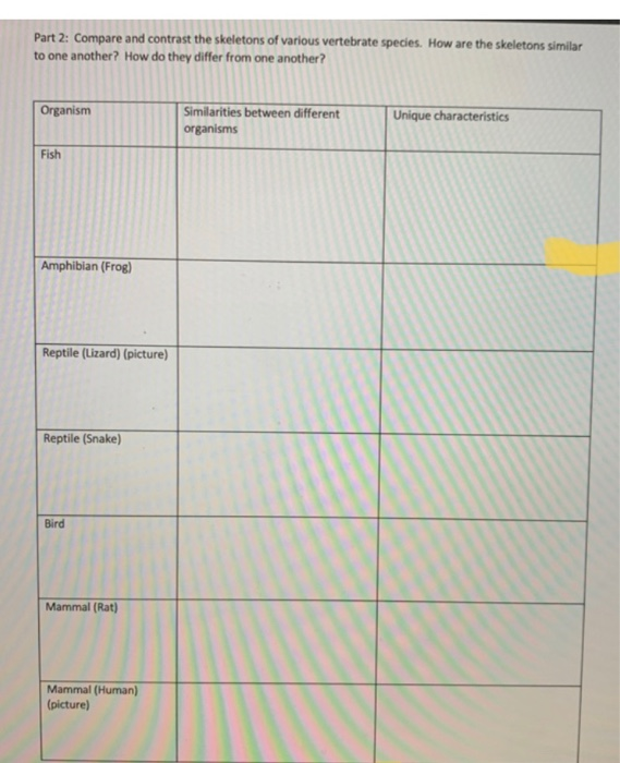 Solved Part 2: Compare and contrast the skeletons of various | Chegg.com