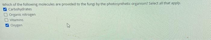Solved please review all questions. not sure if i am totally | Chegg.com