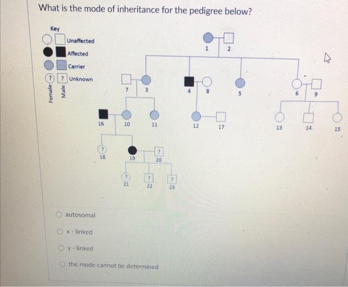Solved What is the mode of inheritance for the pedigree | Chegg.com