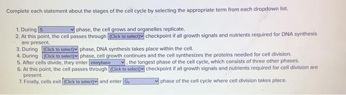 Solved Complete each statement about the stages of the cell | Chegg.com