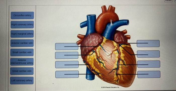 Solved thank you! | Chegg.com